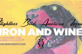 Lute vs Lyre Everything you need to know [2022] - Lyre Harp Tabs